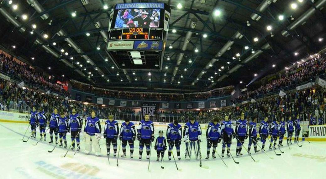 Saint John Sea Dogs name Josh Dixon new head coach - Sportsnet.ca